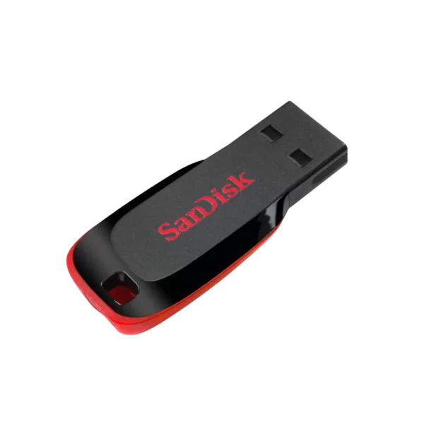 SanDisk USB Flash Drive – TECH4LESS